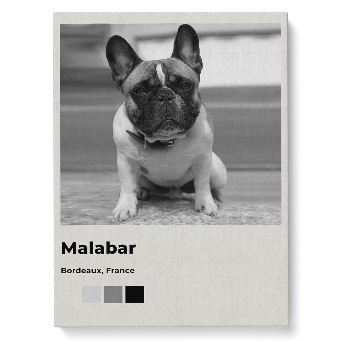 Le Polaroid - Portrait personnalisé Animal - Style Cliché 📸